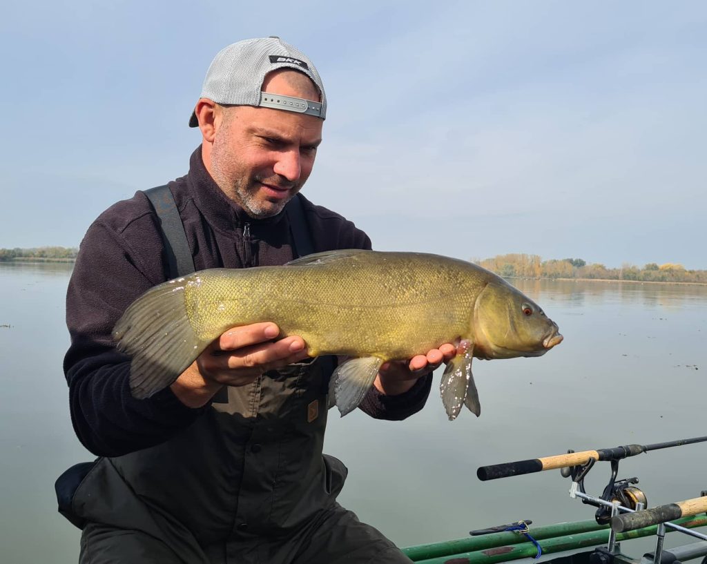 Ritka vendég a horgon - Tisza-tavi Sporthorgász Kft.